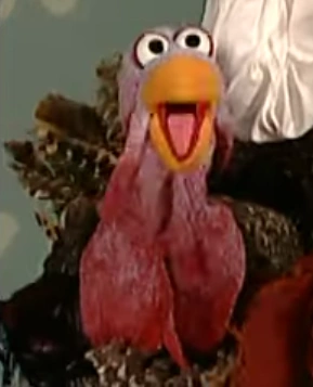 Turkey (Elmo's World) | Fictional Characters Wiki | Fandom