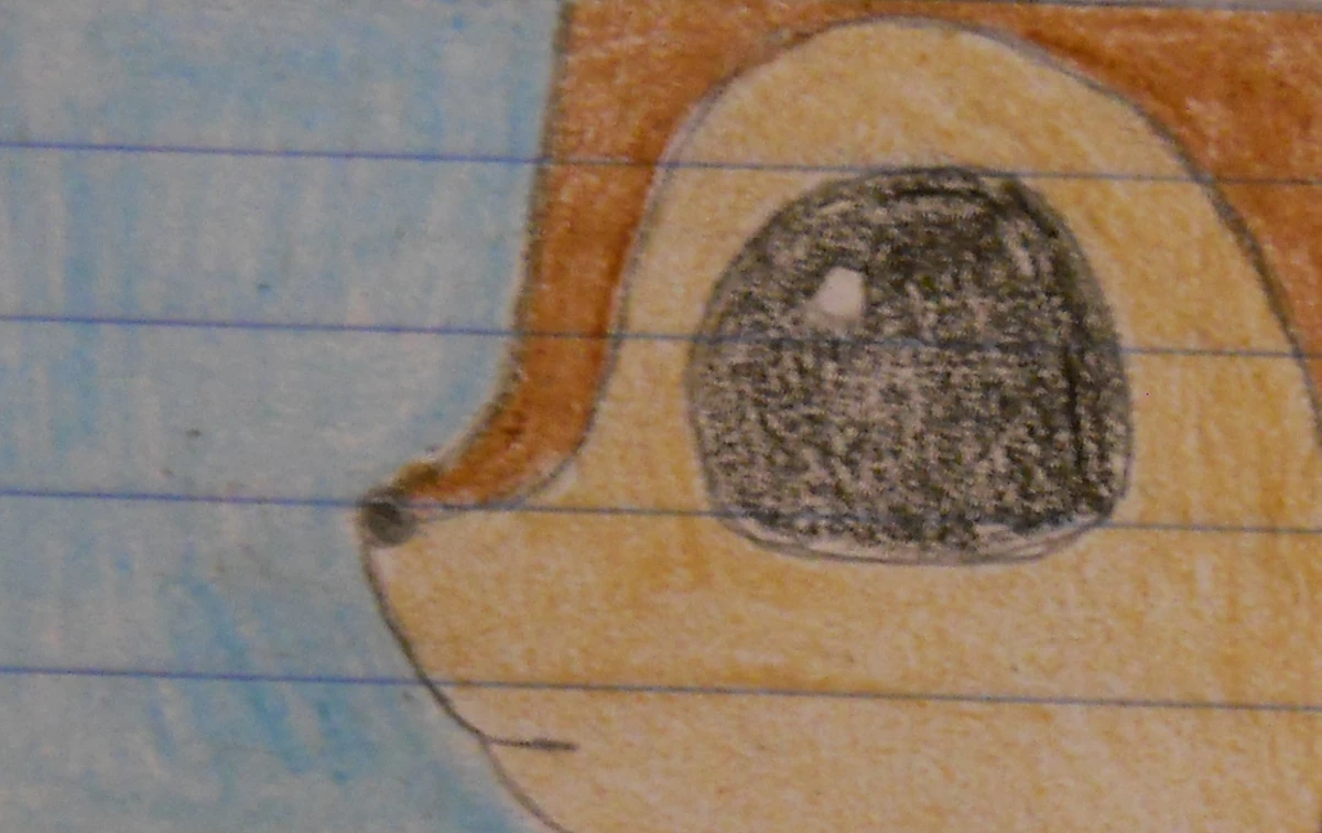 Jumpy Squirrel | Charkie and Friends Wiki | Fandom