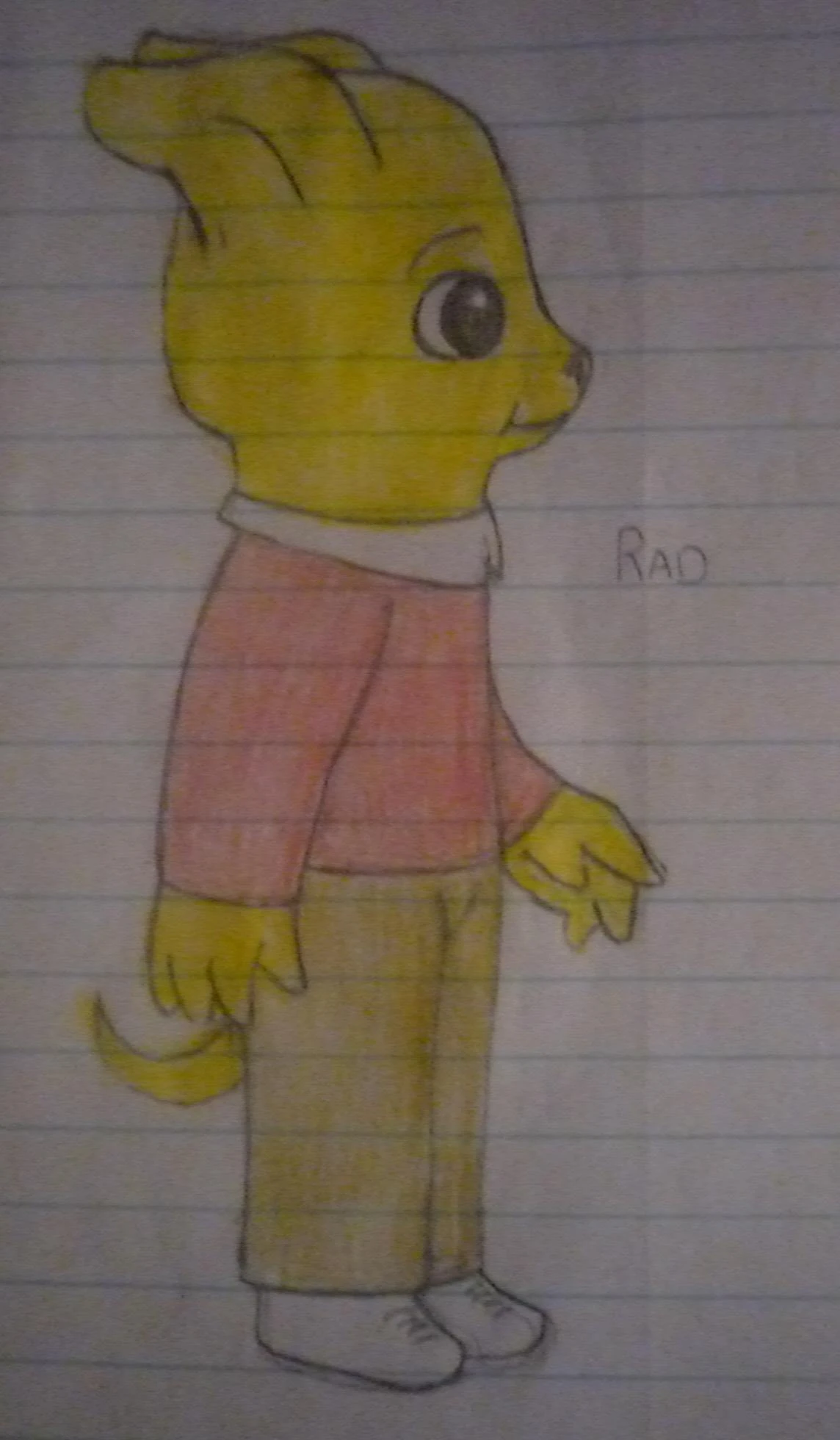 Rad | Charkie and Friends Wiki | Fandom