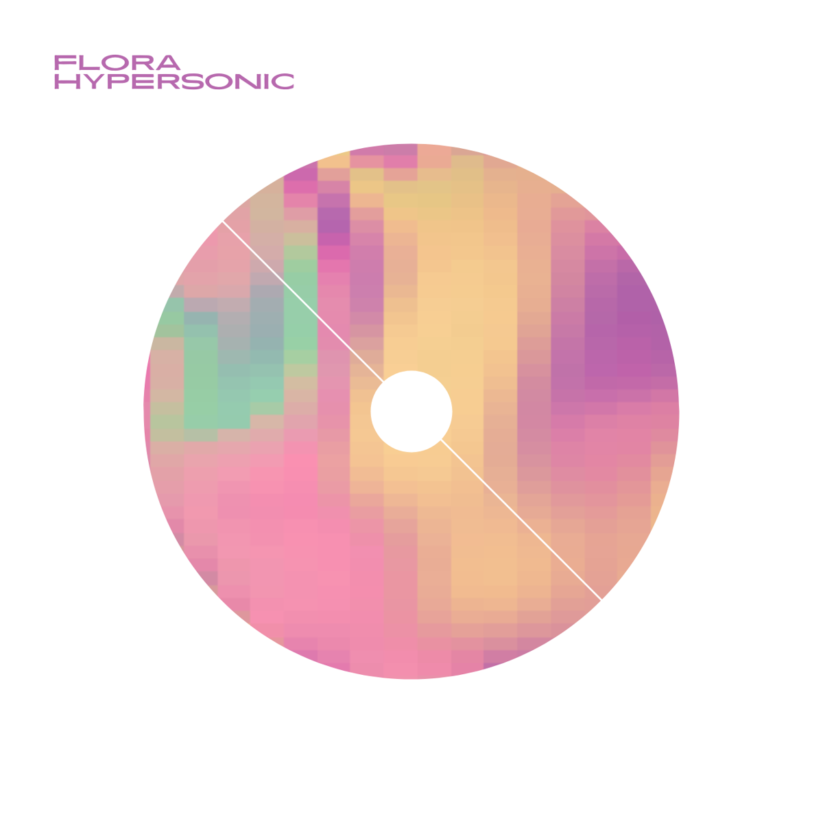 Hypersonic | Charleen Walker Wiki | Fandom