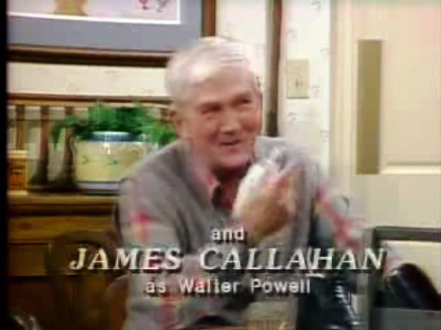 James Callahan | Charles in Charge Wiki | Fandom