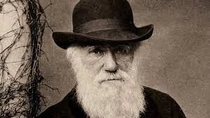 Charles Darwin | Charlie Thorne Wiki | Fandom
