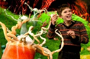 Charlie Bucket | Charlie and the Chocolate Factory Wiki | Fandom
