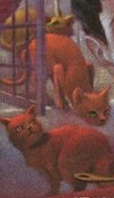 The Flames | Charlie Bone Wiki | Fandom