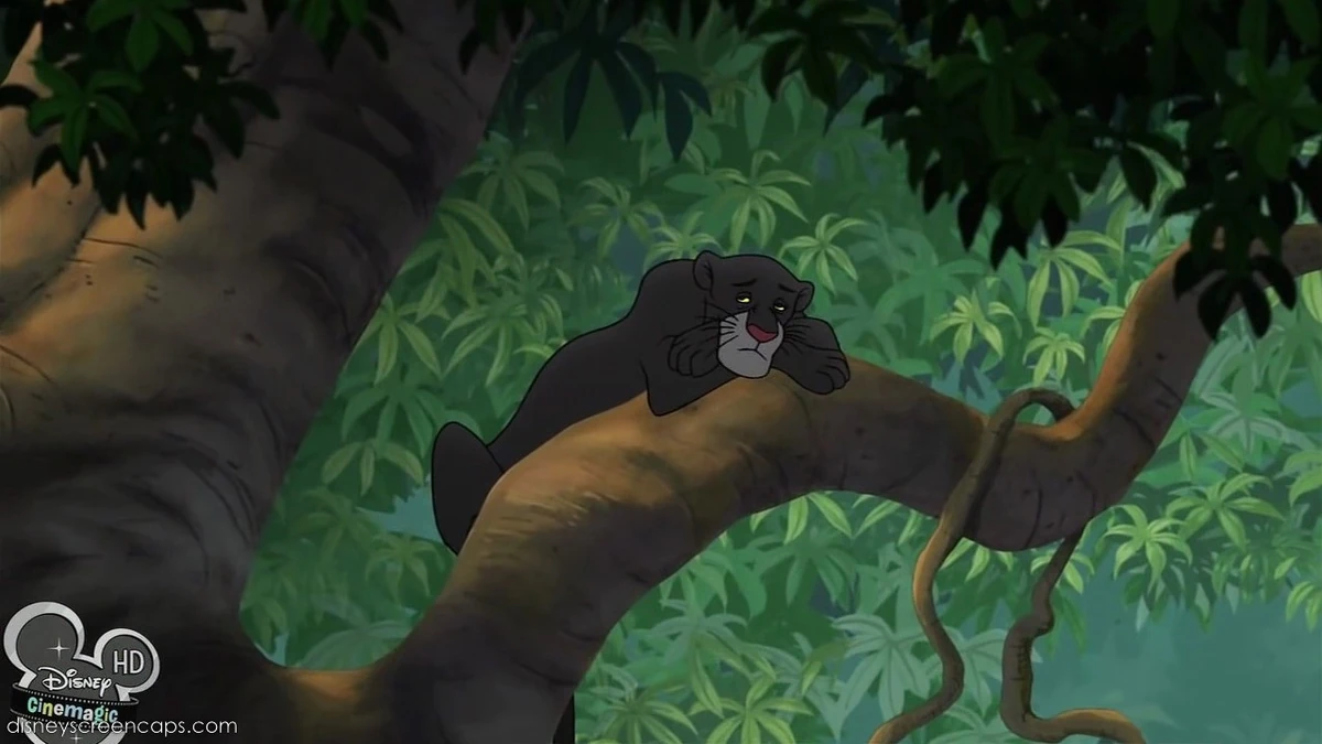 Bagheera | Charlie's Adventures Wiki | Fandom