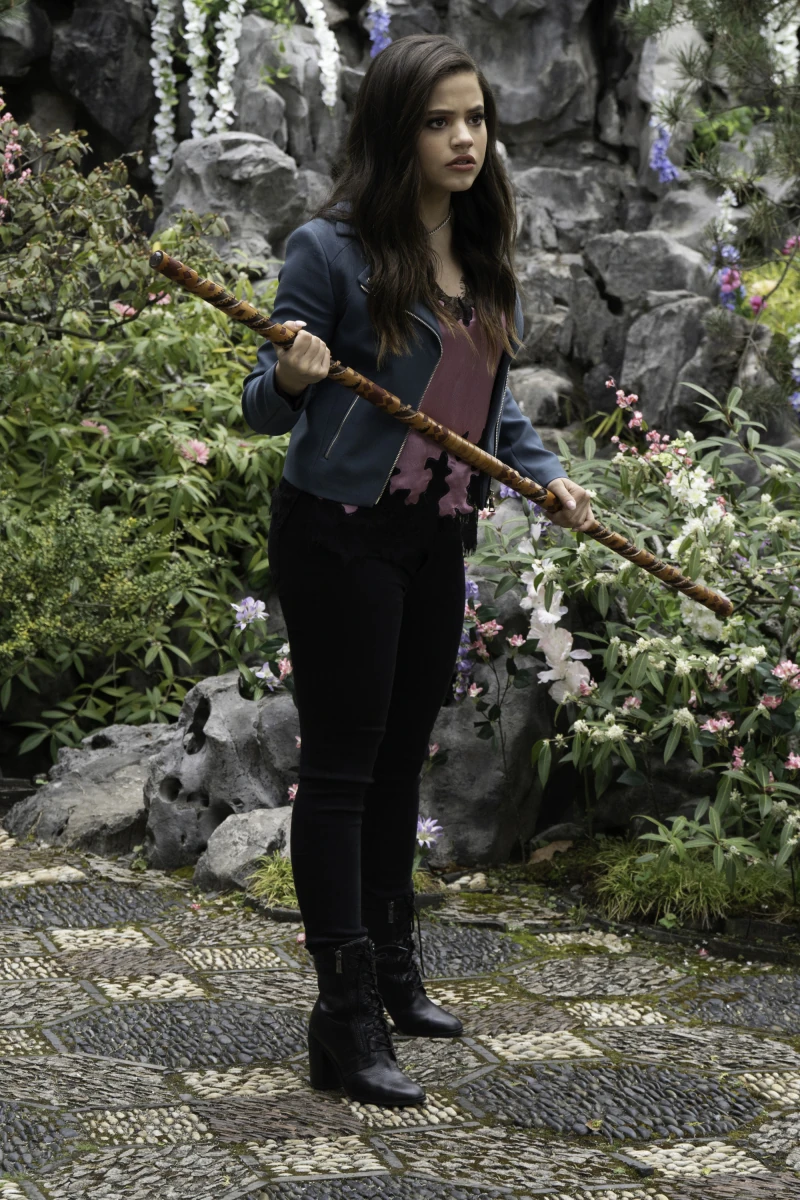 Empathic Staff | Charmed Wiki | Fandom