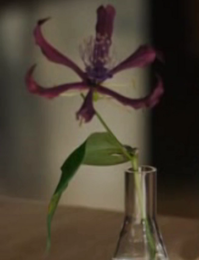 Moon Poppy | Charmed Wiki | Fandom