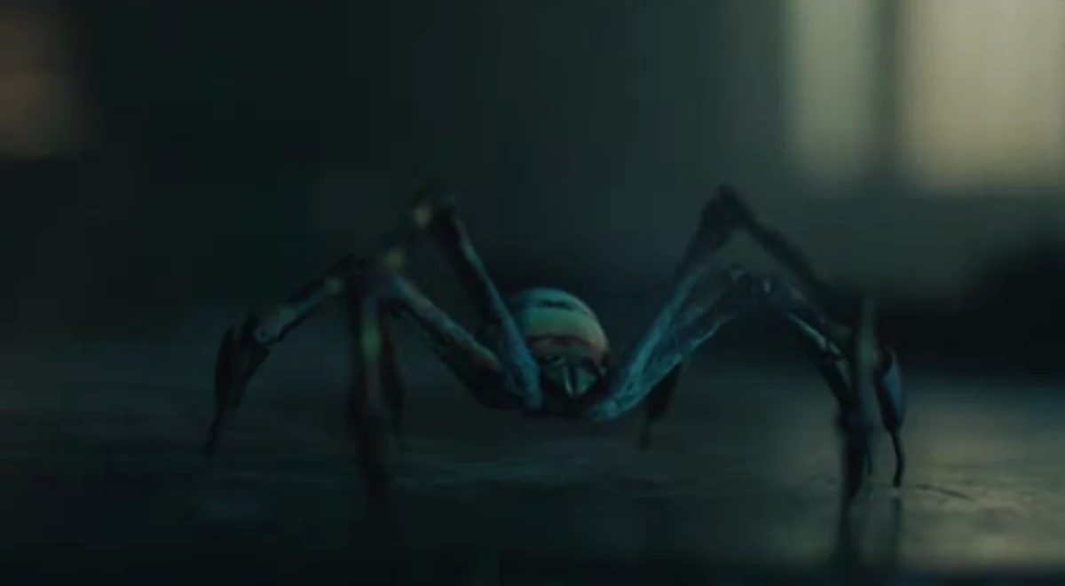 Patient Spiders | Charmed Wiki | Fandom