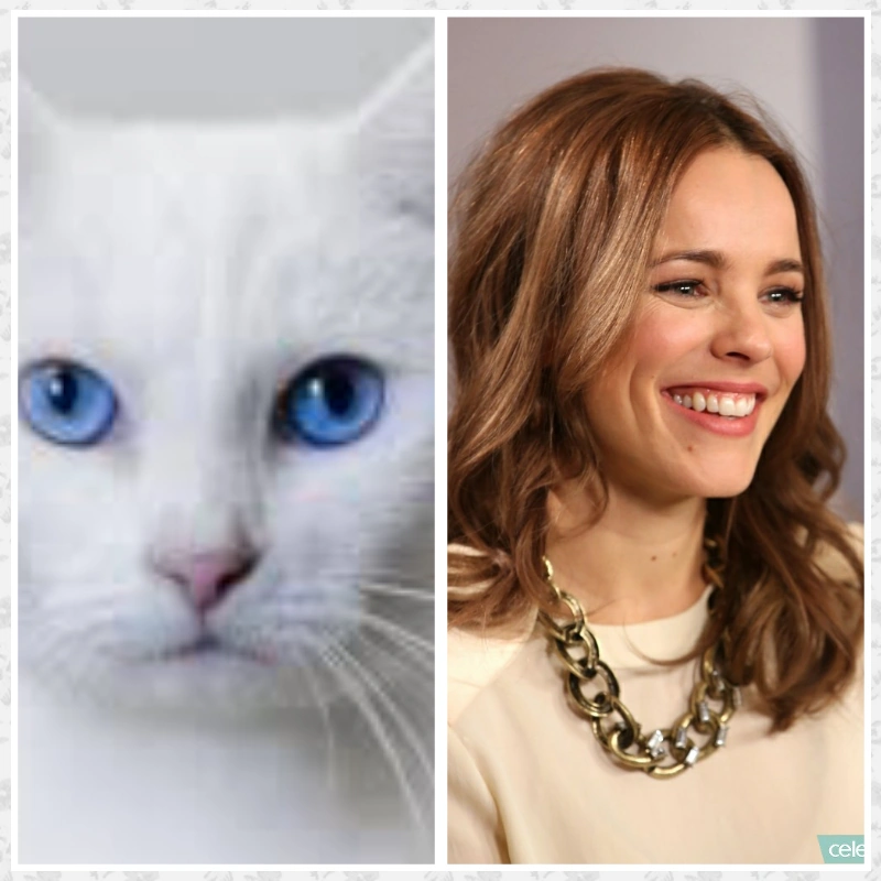 Paylin Crin | Charmed Reborn Wiki | Fandom