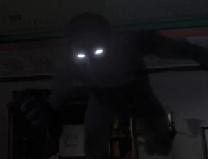 Shadow | Charmed Reloaded Wiki | Fandom