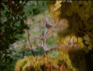 Projection | Charmed: The Next Generation Wiki | Fandom