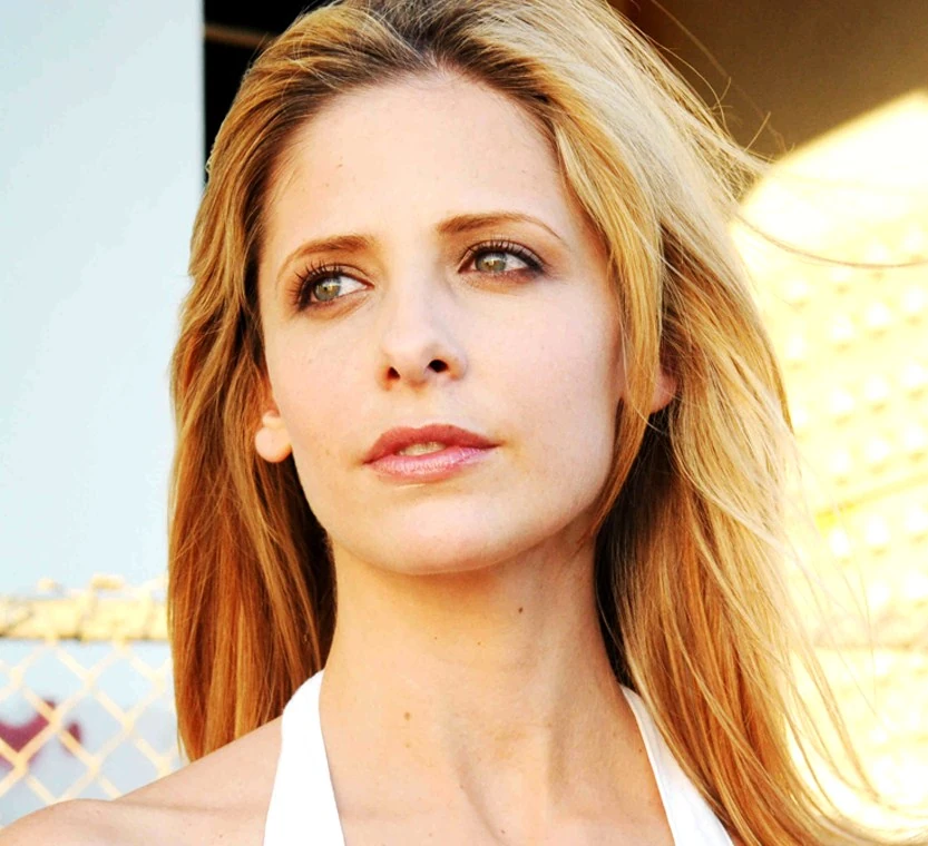 Blog de usuário:KaleyWitch/Sarah Michelle Gellar de volta à TV ...