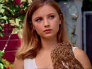 Magic Hour/Plot | Charmed | Fandom