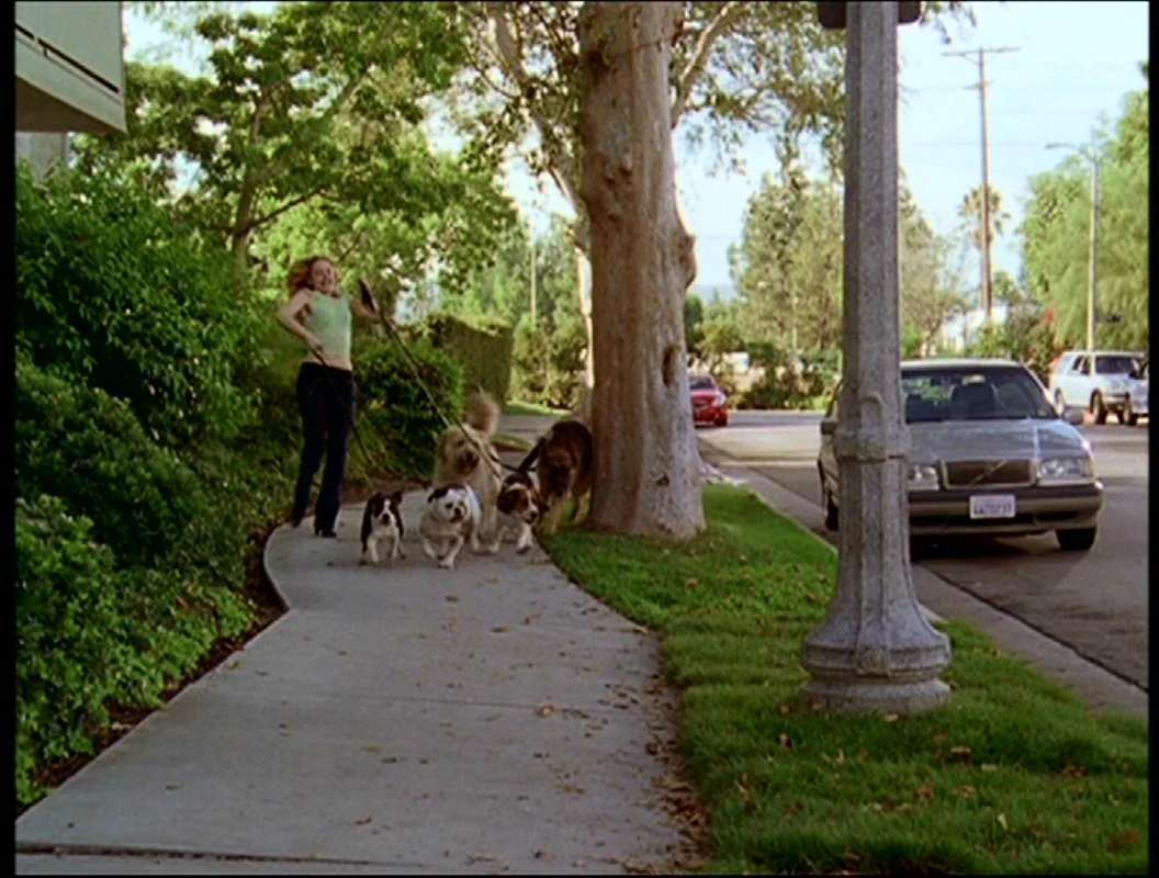 Paige Matthews/Temp Jobs | Charmed | Fandom