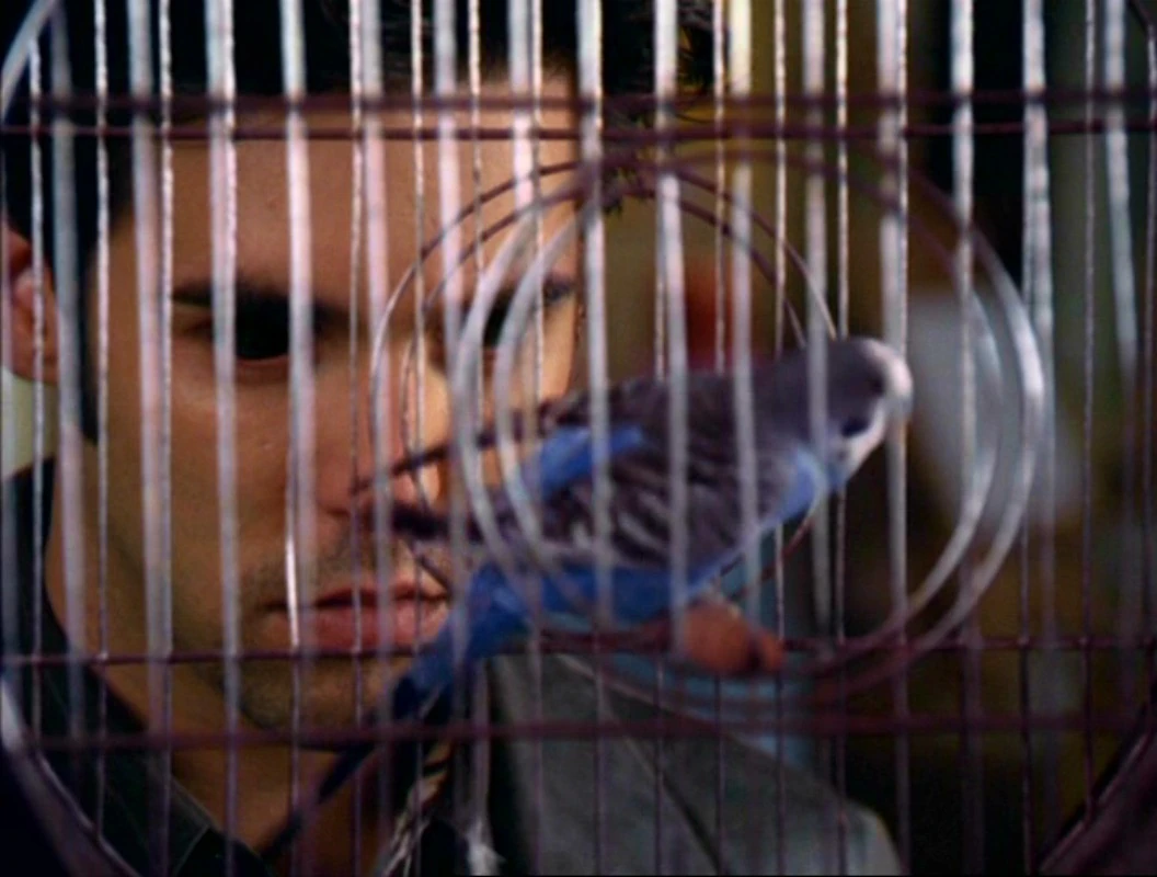 Oscar | Charmed | Fandom