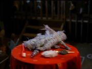 Curse | Charmed | Fandom