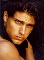 Greg Vaughan/Gallery | Charmed | Fandom