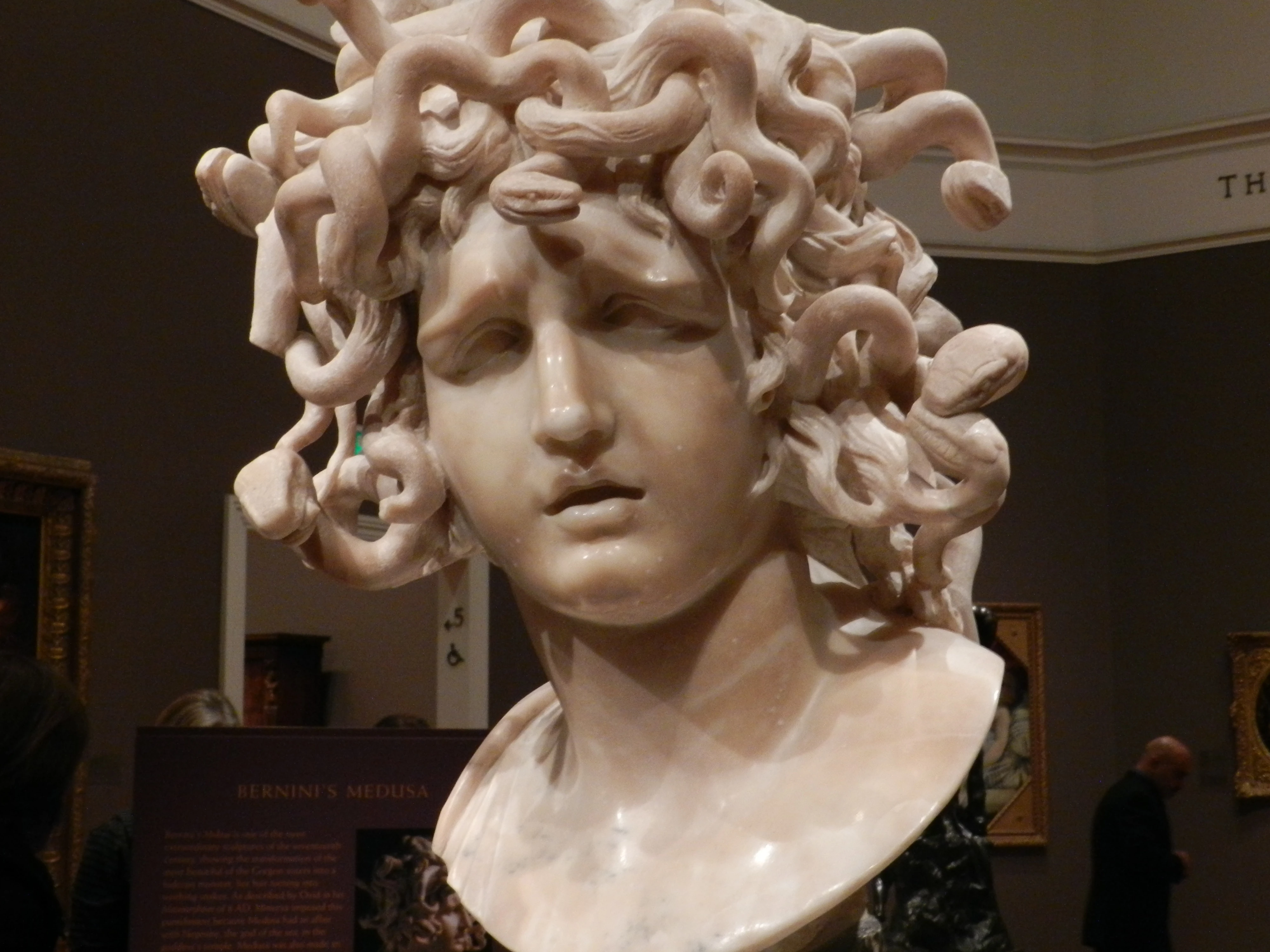 Medusa Before The Snakes