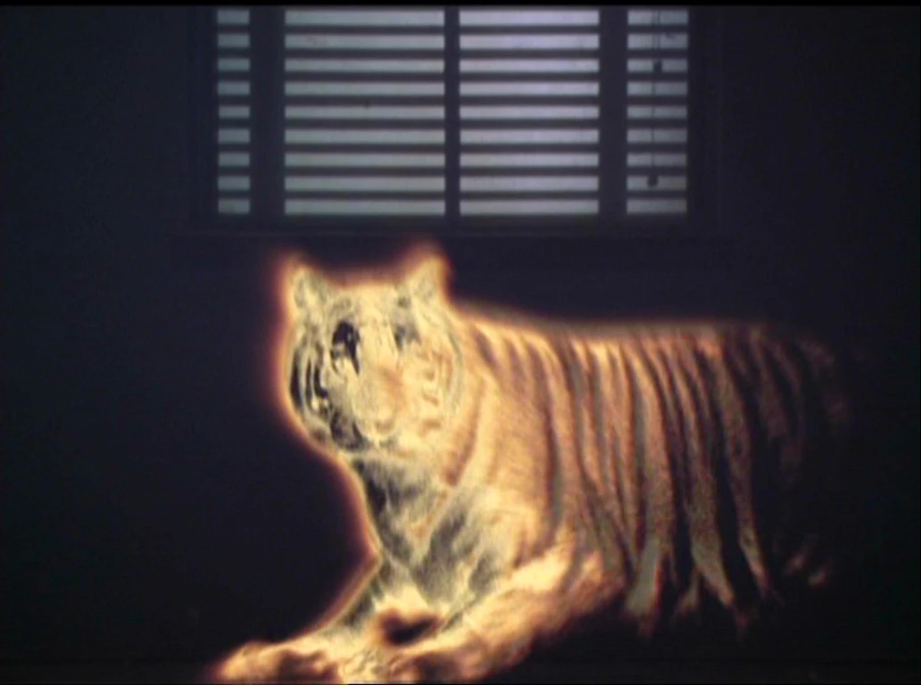 Witches in Tights/Plot | Charmed | Fandom