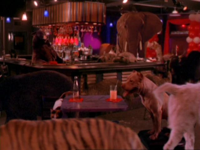 Darryl Morris/Magical Transformations | Charmed | Fandom