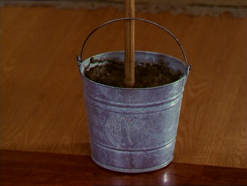 Transformation/Gallery | Charmed | Fandom