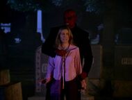 Phoebe Halliwell/Charmed Life | Charmed | Fandom