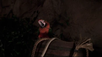 Parrot | Charmed | Fandom