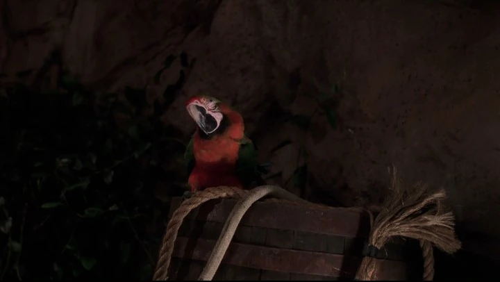 Parrot | Charmed | Fandom