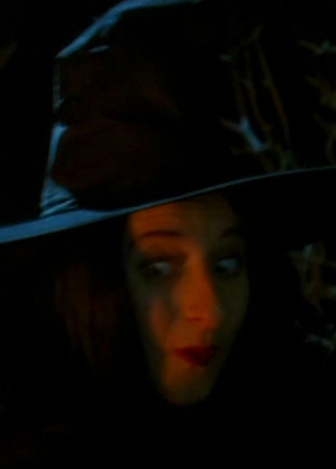 The Wicked Witch of the Enchanted Forest | Charmed | Fandom