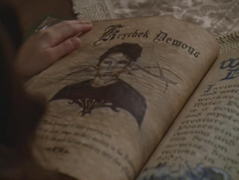 Krychek Demony Czarodziejki Wiki Fandom