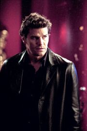 Leo Wyatt | Charmed | Fandom