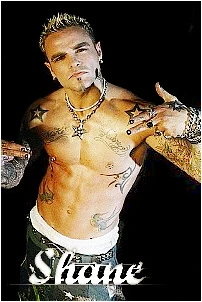 Shane Turner | Charmed 2005 Wikia | Fandom