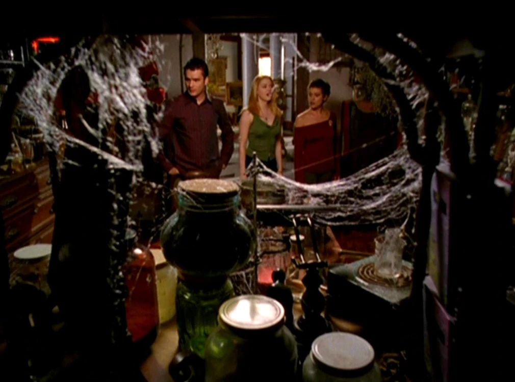 The Montana Herb Room | The Charmed Legacy Wiki | Fandom