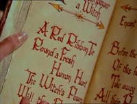 Tuatha | The Charmed Legacy Wiki | Fandom