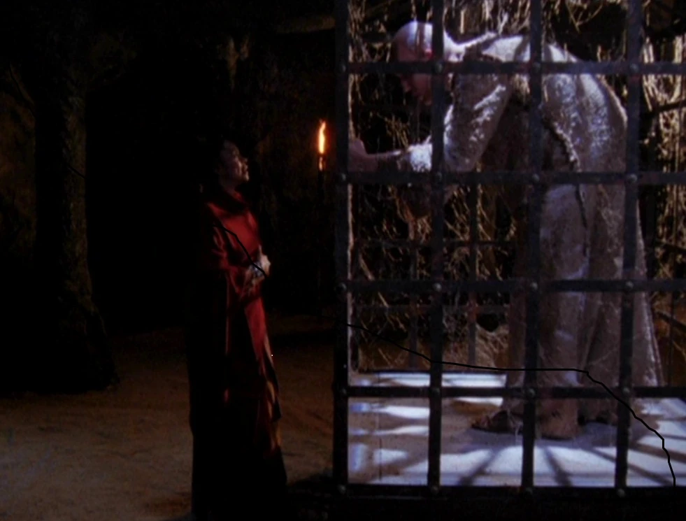 Magical Cages | The Charmed Legacy Wiki | Fandom