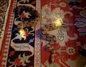 Tuatha | The Charmed Legacy Wiki | Fandom