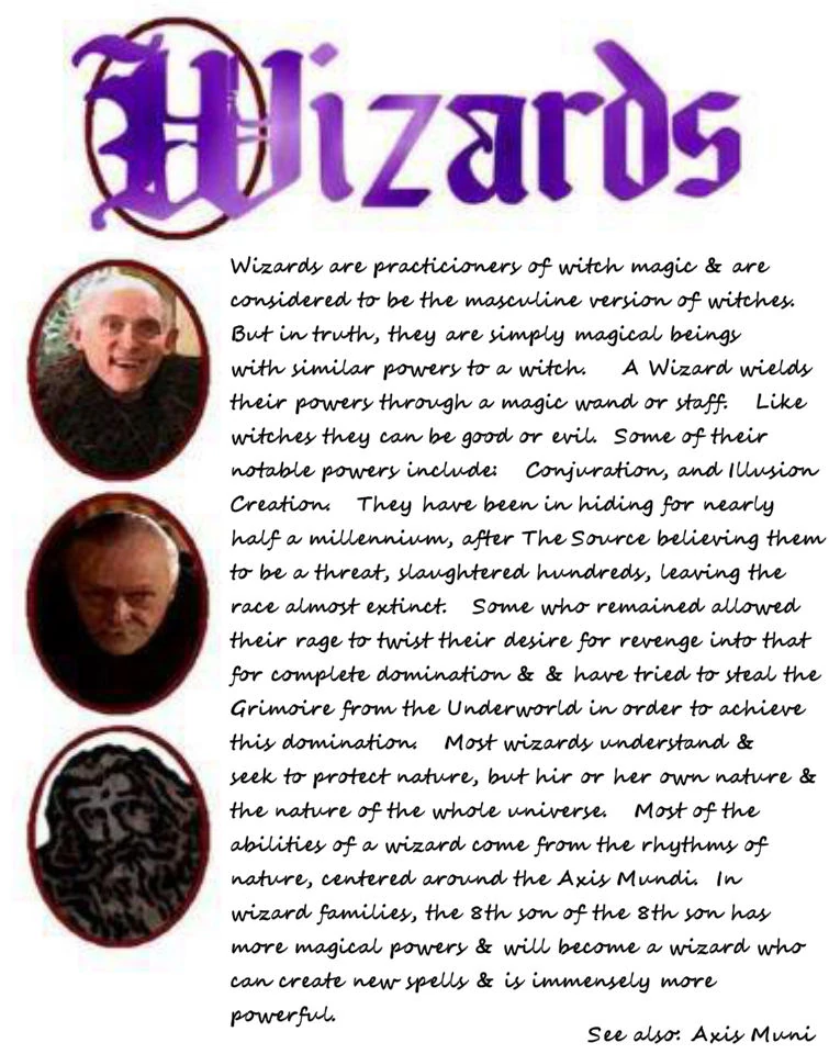 Wizards | CharmedWorldRPG Wiki | Fandom