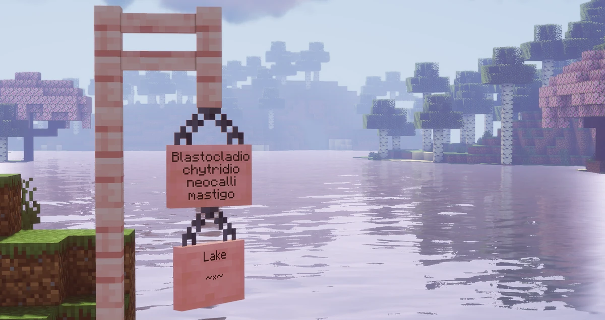 Category:Geography | Chasecraft Wiki | Fandom
