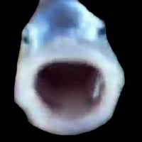 Killer Fish | Chaser Nextbots Wiki | Fandom