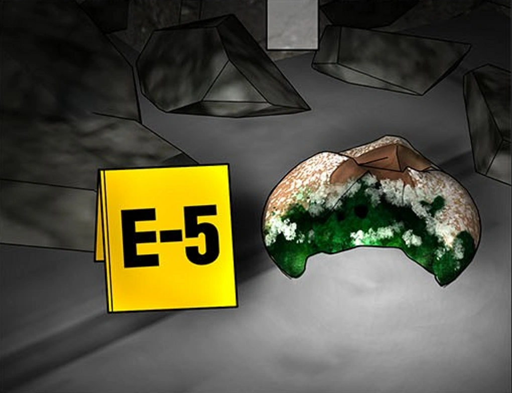 Unfinished bread | Chasing Tails Wiki | Fandom