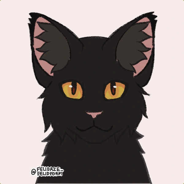 Pipot | Wiki Chats sauvages | Fandom