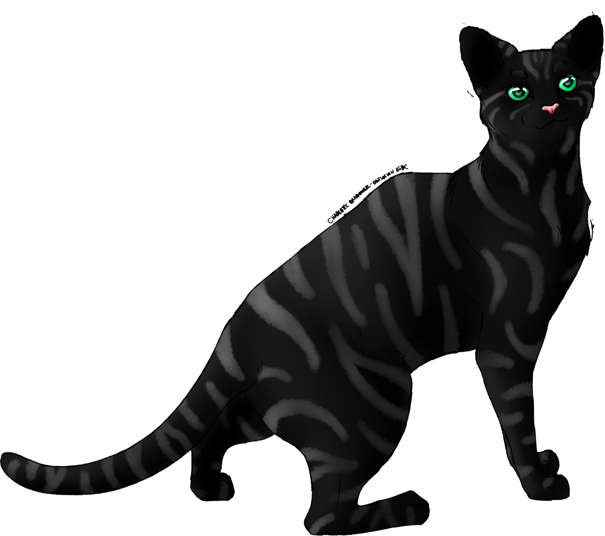 Dex | Wiki Chats sauvages | Fandom