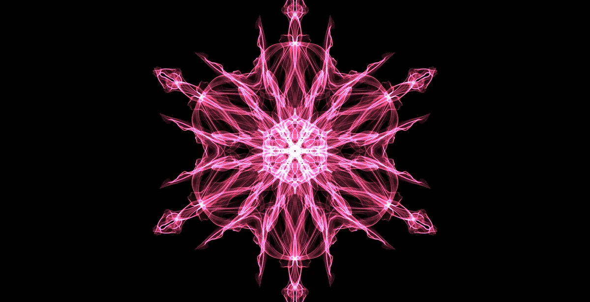 Chawa | Chawosauria Wikia | Fandom