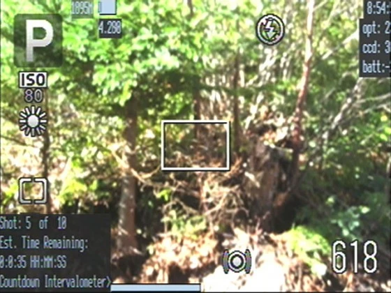 Countdown Intervalometer | CHDK Wiki | Fandom