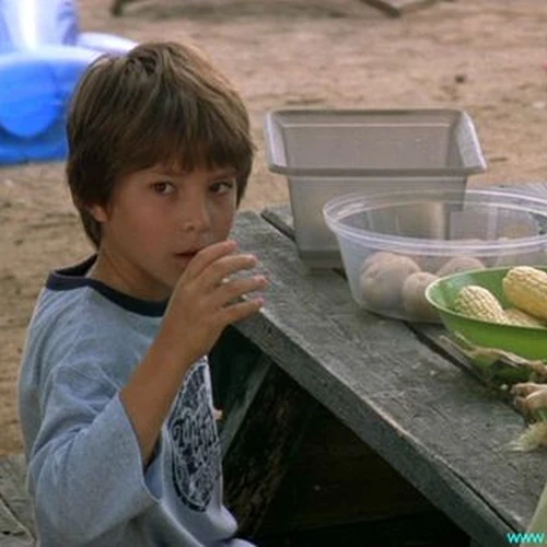 Blake Woodruff Cheaper By The Dozen