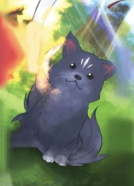 Night | Cheat Musou Wiki | Fandom