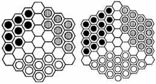 Novgorodskie Shashki | Checkers & Draughts Wiki | Fandom