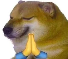 Cheems dorime | Wiki Cheems | Fandom