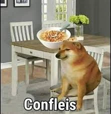 Cheems confleis | Wiki Cheems | Fandom