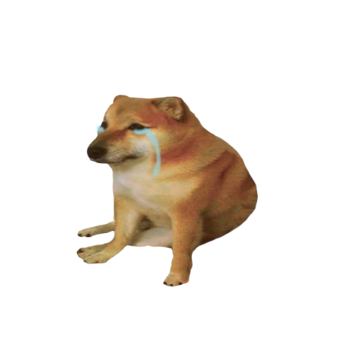 Sad cheems | Wiki Cheems | Fandom